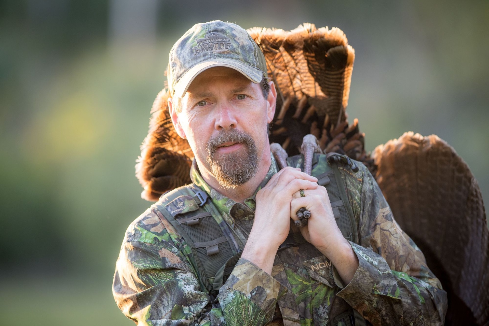 Dr. Mike Chamberlian on Wild Turkey Habits and Biology : ROOST